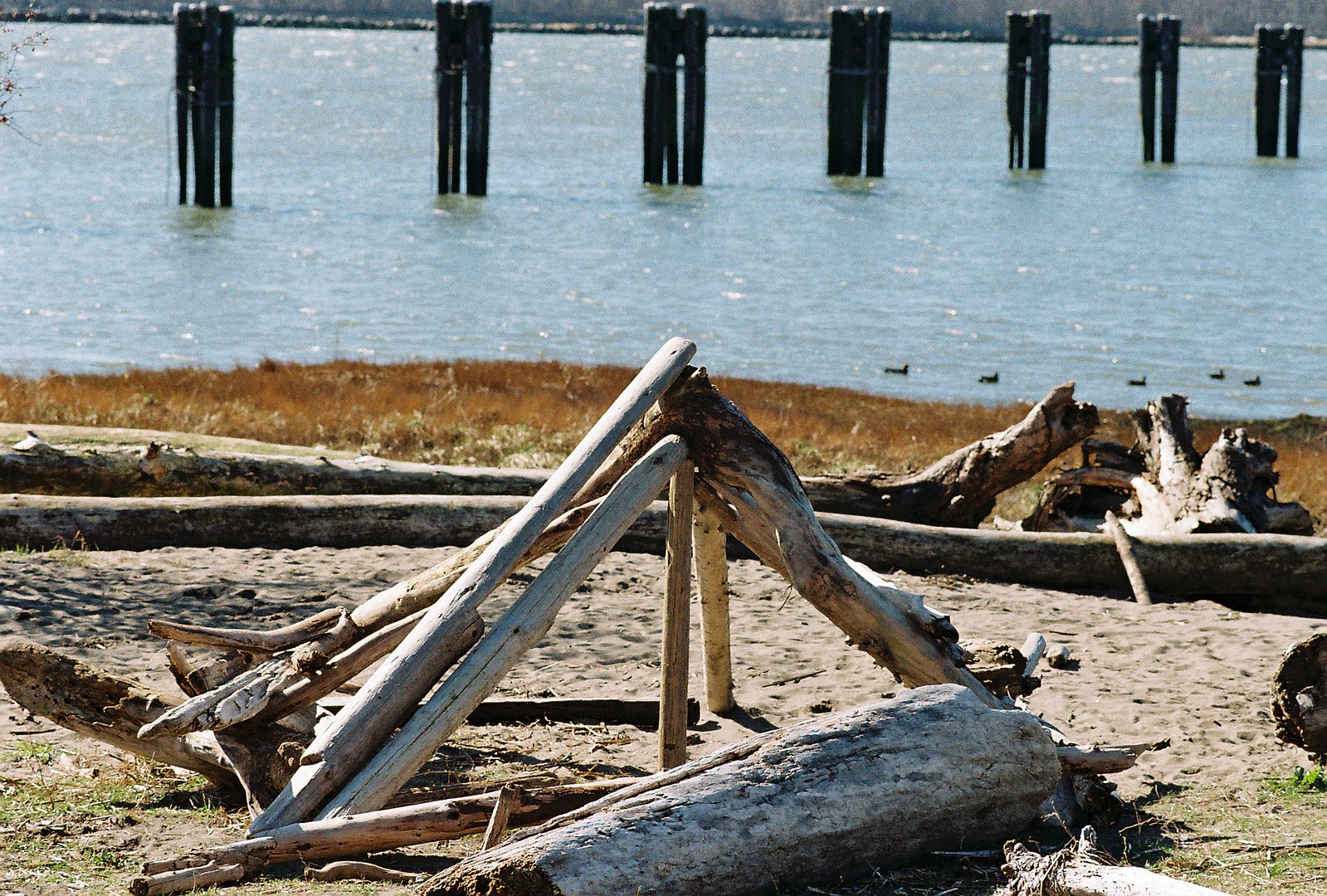 :cool: Lets see those ''film'' shots - Page 1829 - PentaxForums.com