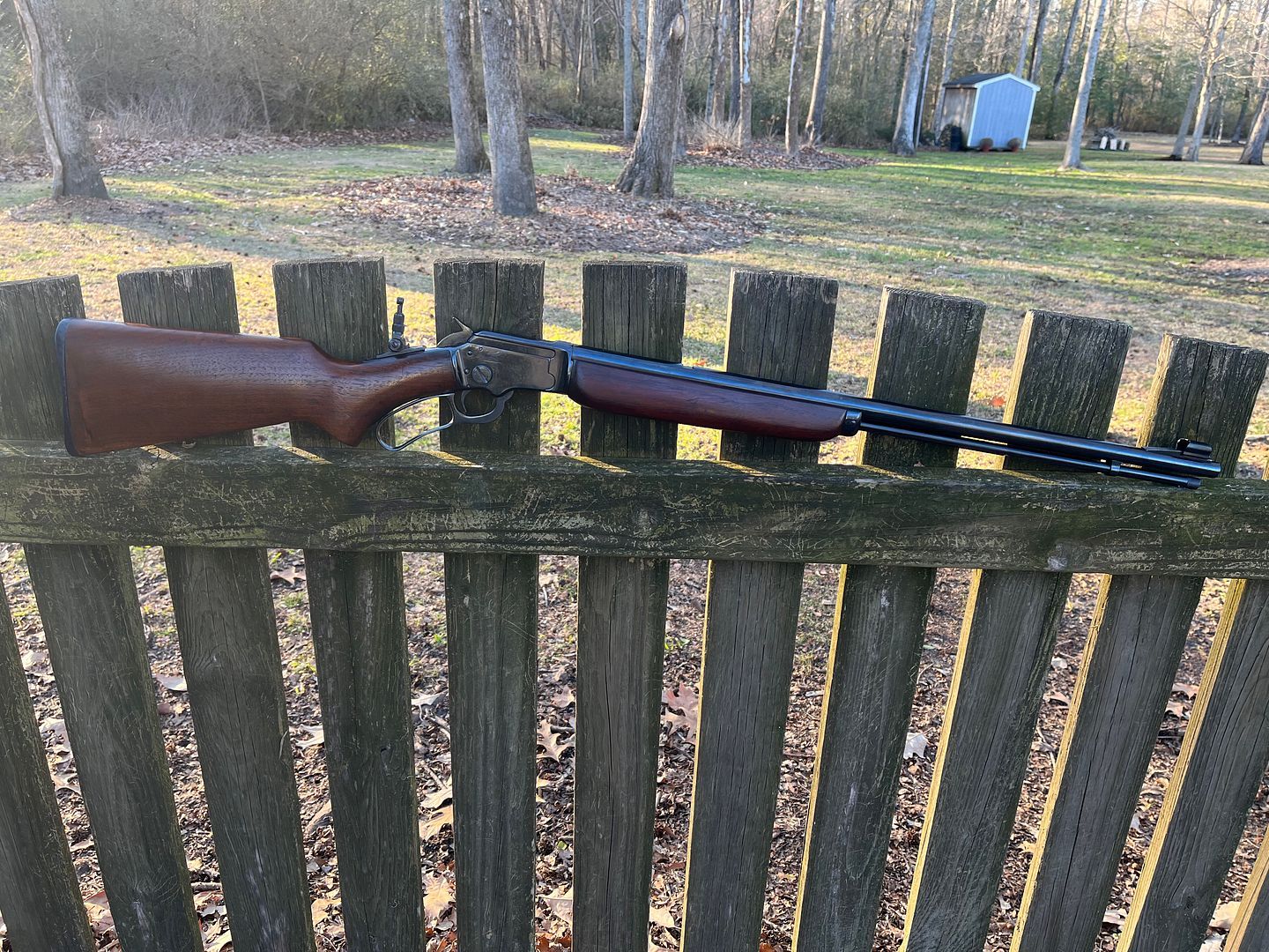 Choose Your Weapon > 10/22 & 22 Caliber Rifles > AR15.COM