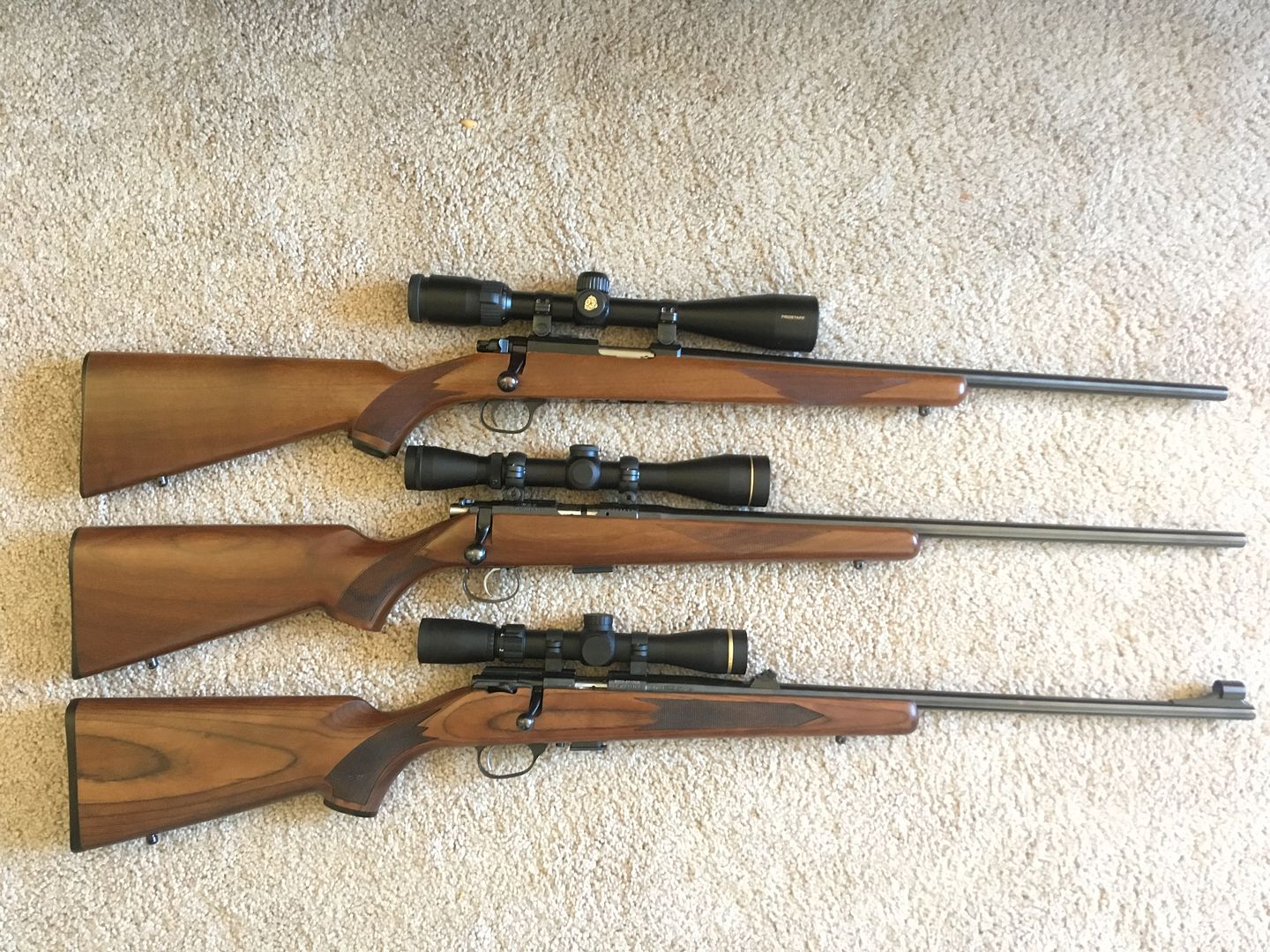 22lr Rifle Family Picture - Anything I'm missing? > 10/22 & 22 Caliber ...