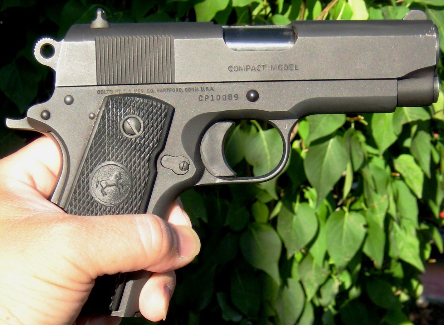 Let's See Your Colts! | Page 481 | 1911Forum