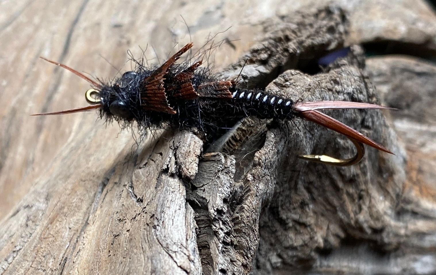 Secondary Discussion i.e. TOTM; | The Fly Fishing Forum