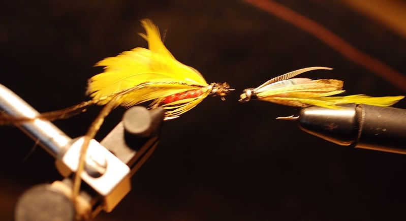 How long have you been tying flies? | Page 2 | Salmon Fishing Forum