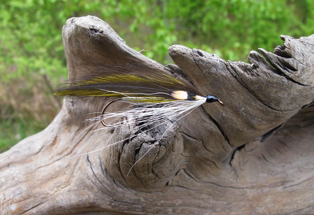 Micro Streamers. Don't know what to choose | Fly Fishing Forum