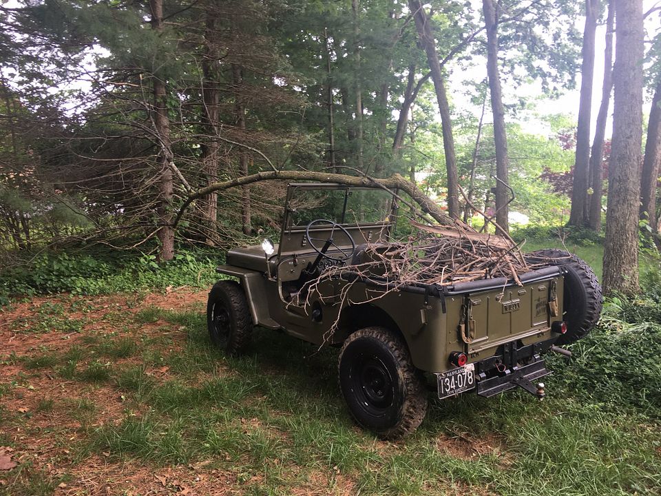 Disposition of assault- and battle-rifle collection when I die | Page 3 ...