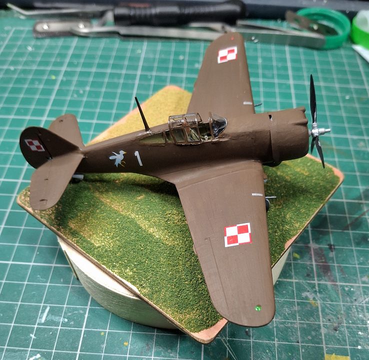 Polish AF Curtis H-75 A1