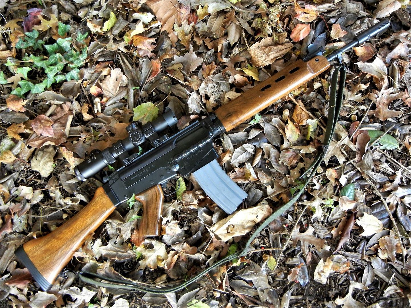 SA SAR 4800 | The FAL Files