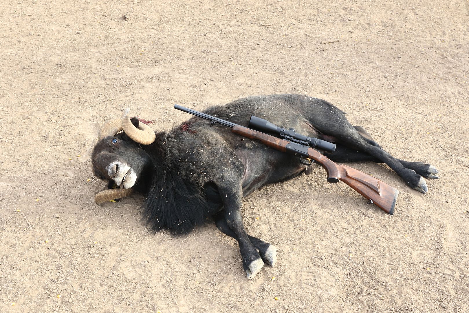 Some Say the 270 is Gay - 24hourcampfire