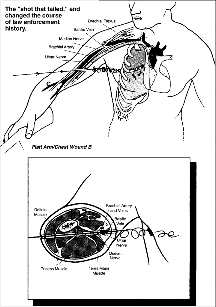 9mm vs .40 vs 45acp - 24hourcampfire