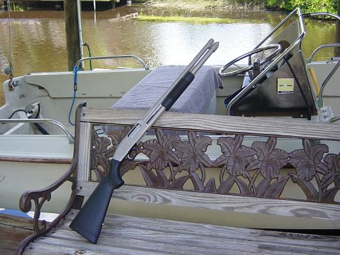 Boat Gun (pic) - AR15.COM