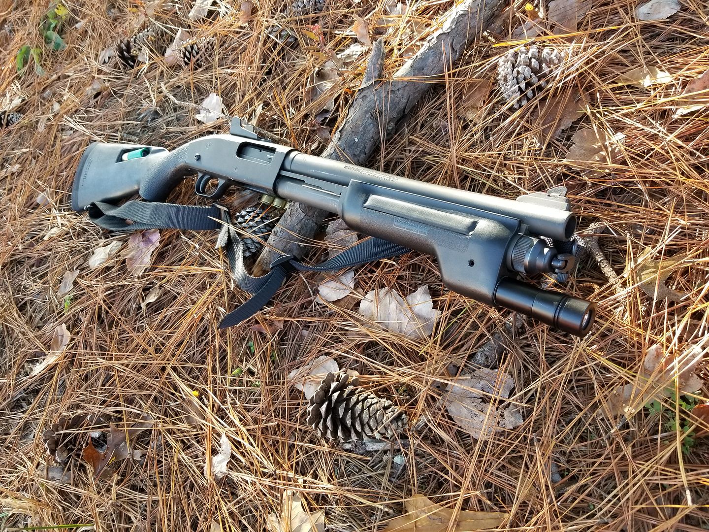 Are old surefire 6P flashlights worth something now a days? > General ...