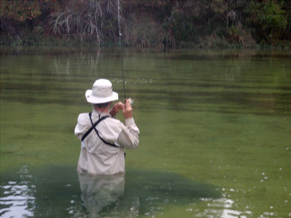 Approximate release date(s) for Ryobi Powerful DX-1 or Daiwa 500c UL ...