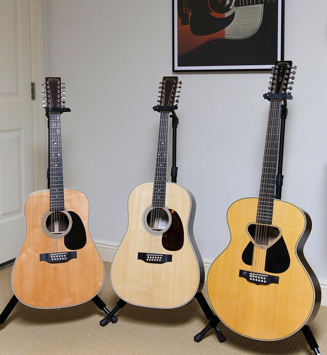 Is there a "king" of the 12 strings? - Page 4 - The Acoustic Guitar Forum