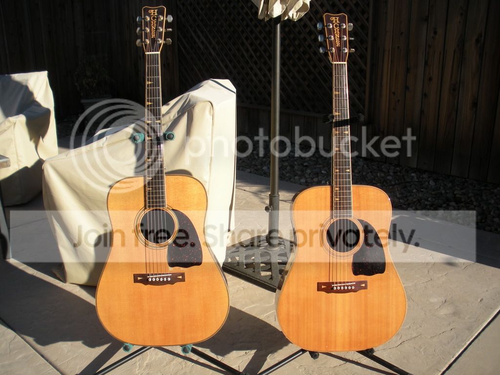 Hohner Guitars - The Acoustic Guitar Forum