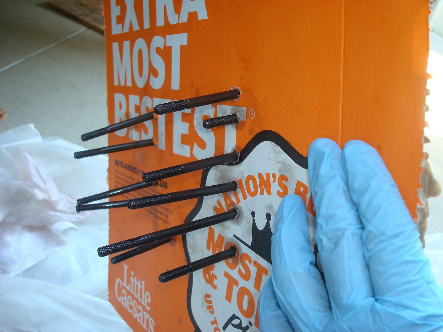 TECHM (TCM) Laminate Disc Repair | Traverse Forum