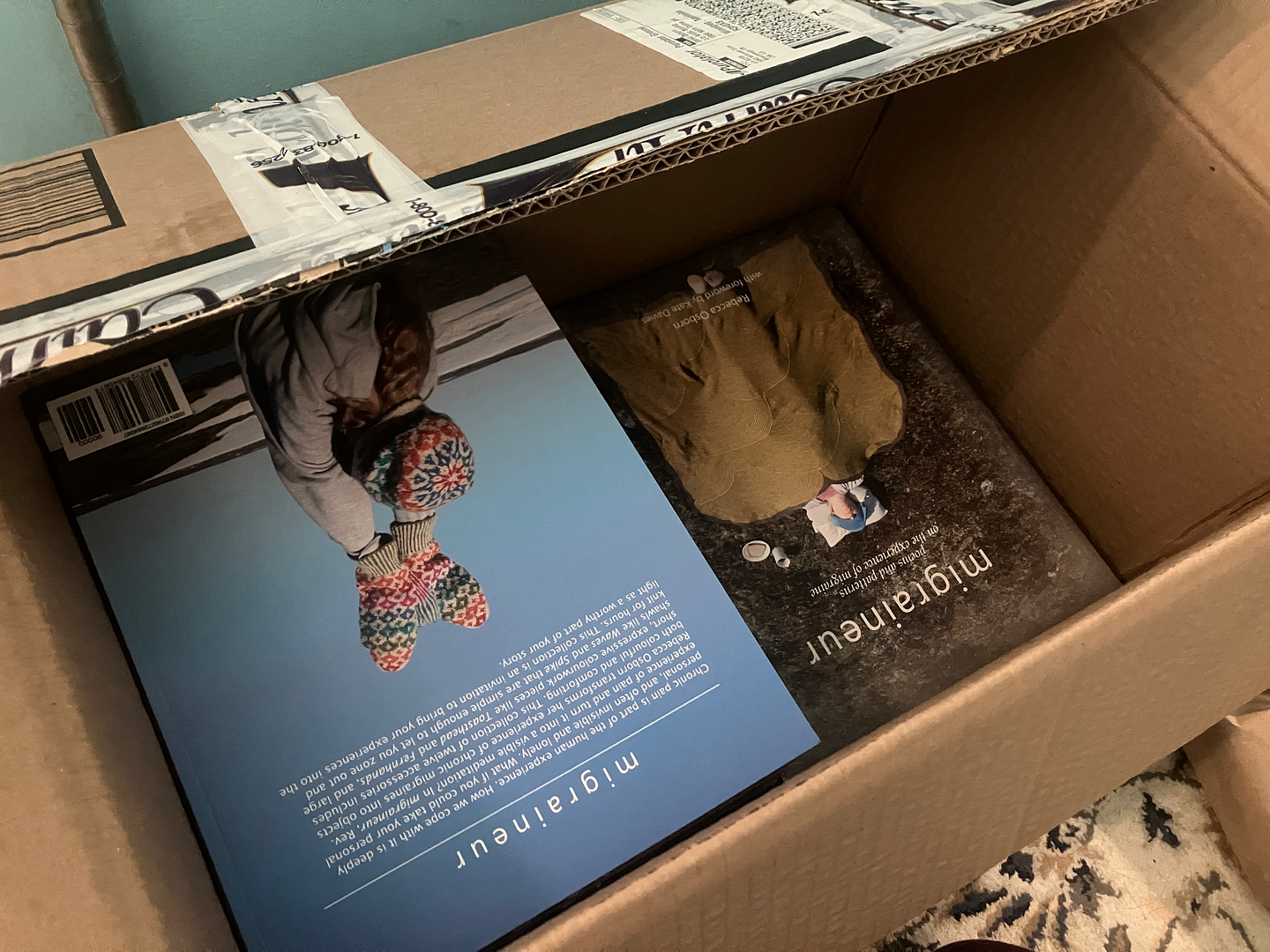 Behind the Book: Why Amazon? – Osborn Fiber Studio