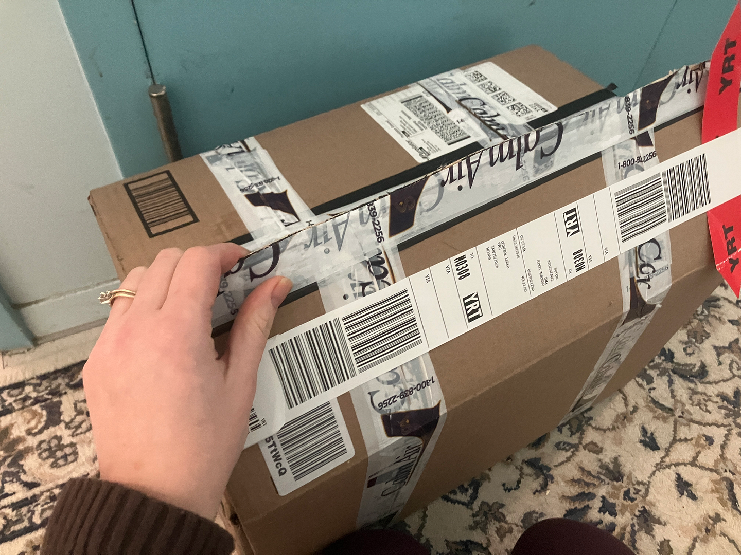 Behind the Book: Why Amazon? – Osborn Fiber Studio