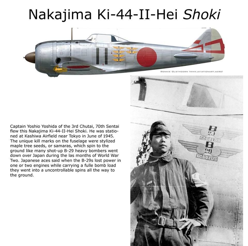Nakajima ki-44-II-hei Shoki 3rd Chutai, 70th Sentai, Kashiwa, june 1945 ...