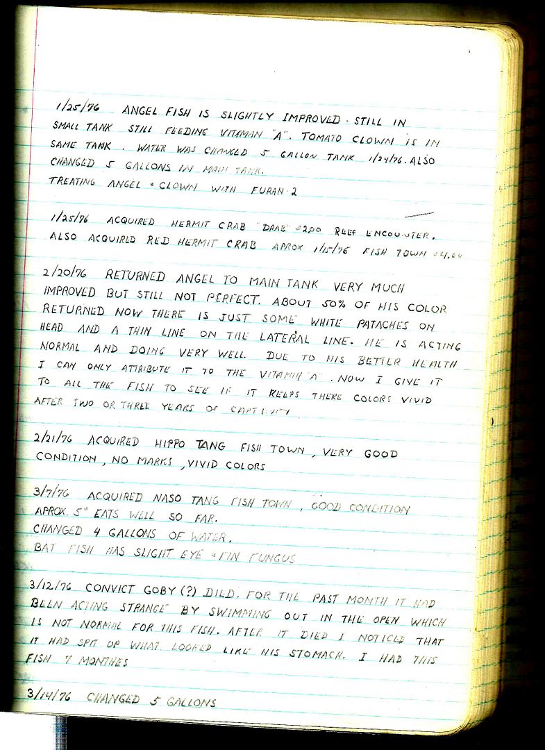 HLLE (Head & Lateral Line Erosion) | Page 3 | Humble.Fish & Reef Community