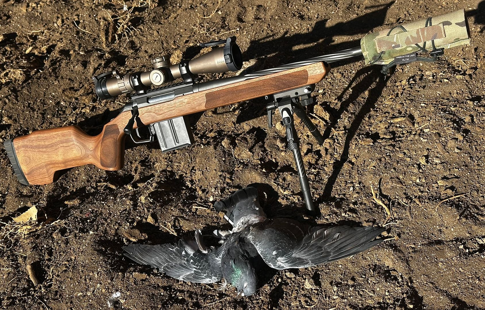 2025 dead critter thread..... - 24hourcampfire