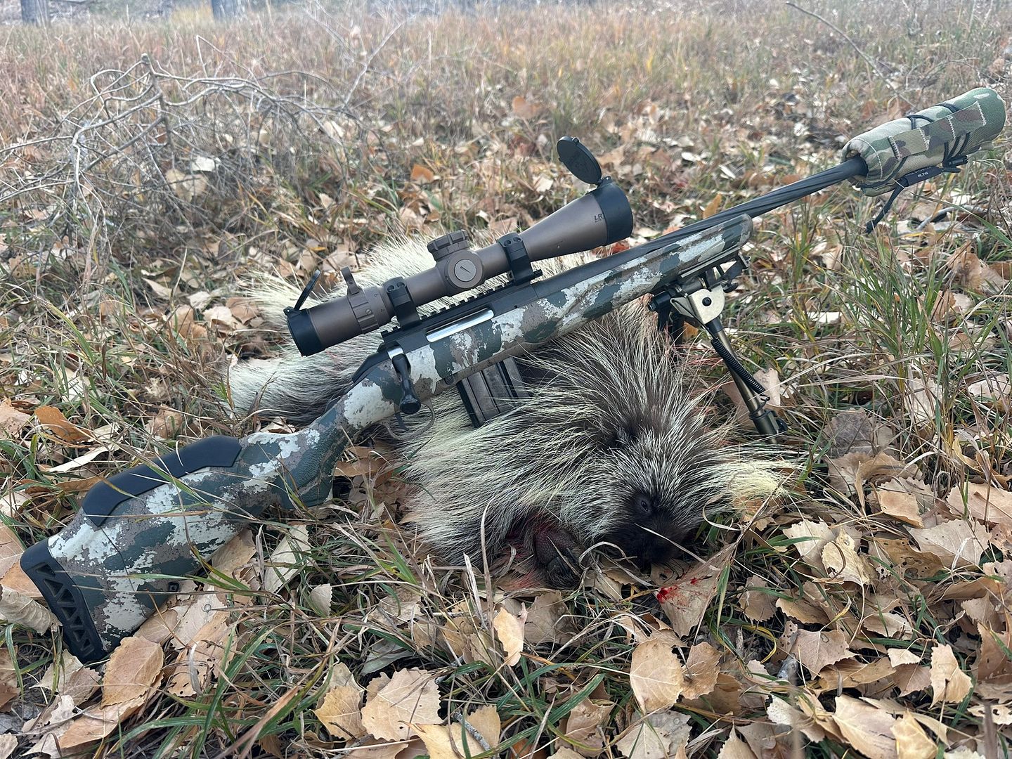 Ruger American Gen II - 24hourcampfire