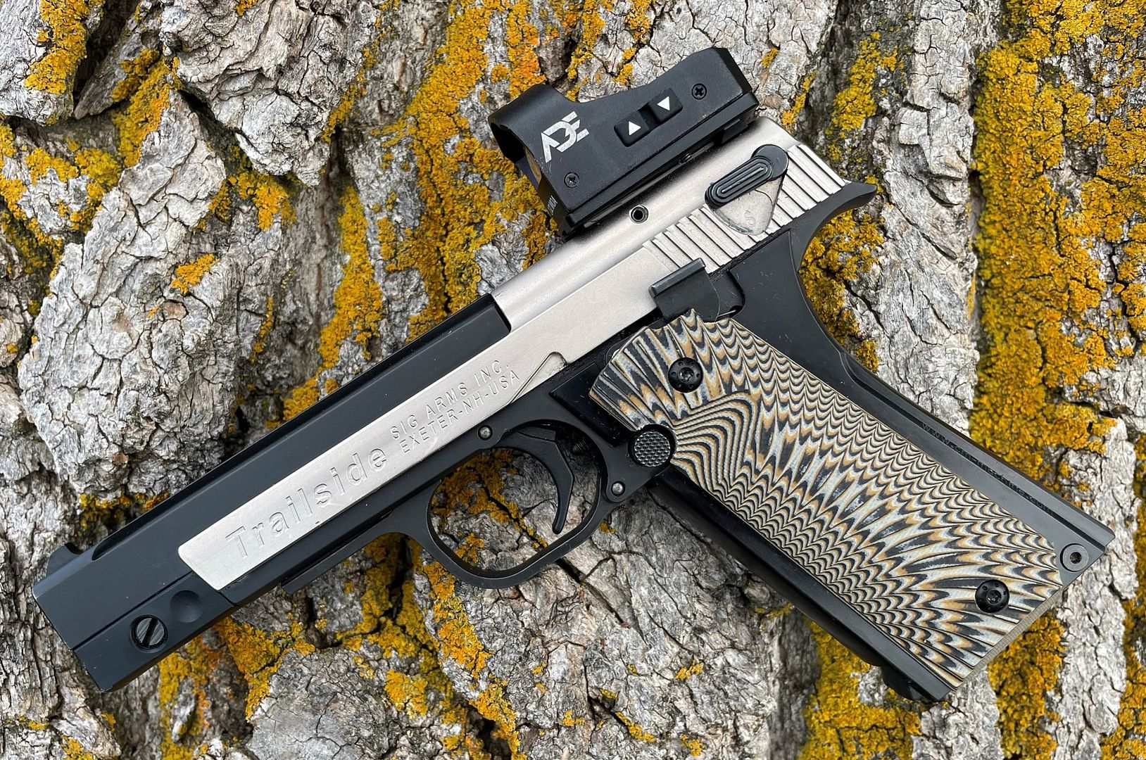 Looking for another 22 handgun? - 24hourcampfire