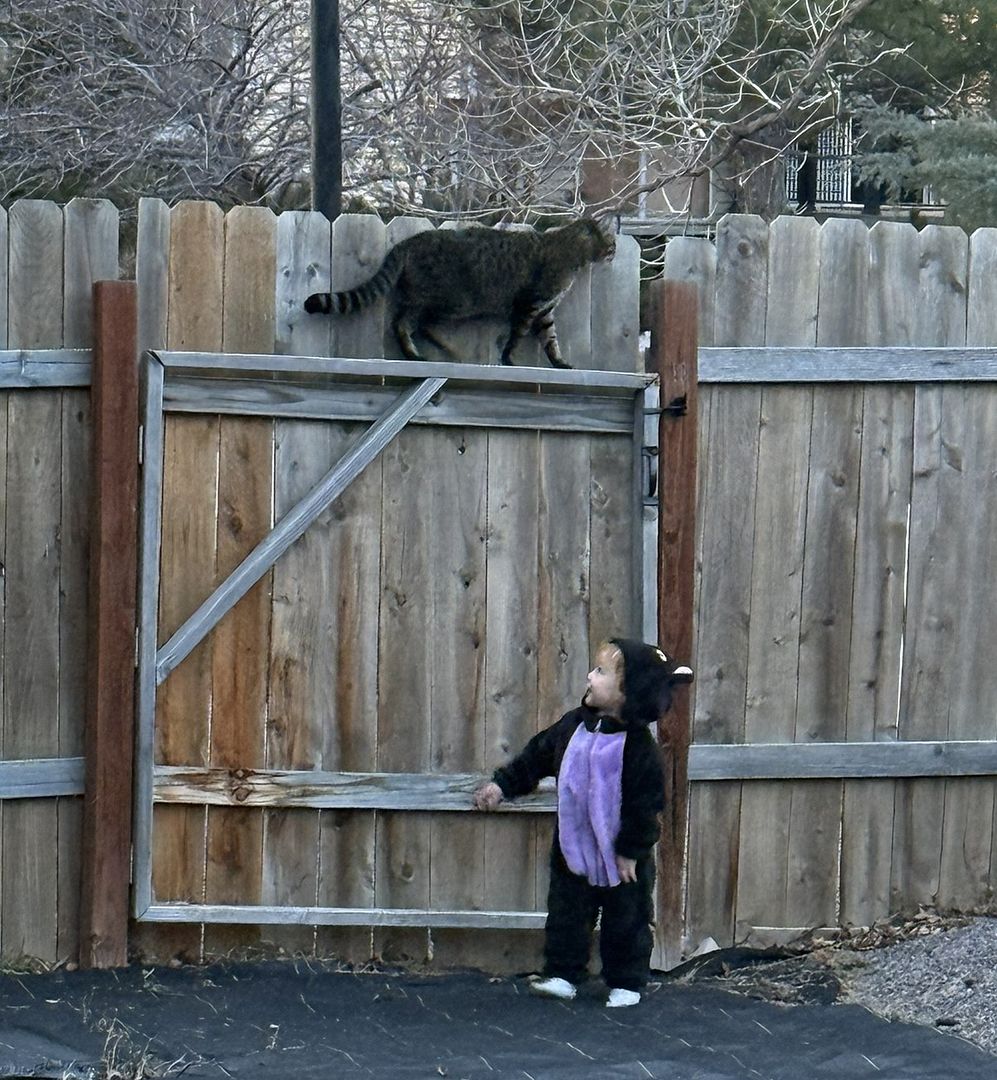 Colorado woman killed by Mountain lion. - 24hourcampfire