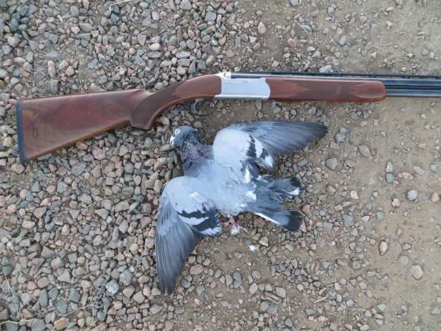 Ruger Announces the Return of an American Legend: The Ruger Red Label ...