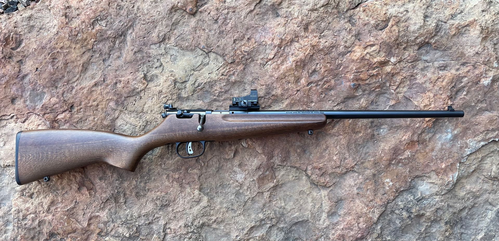 Red-Dot on a Savage Rascal 22- ? - 24hourcampfire