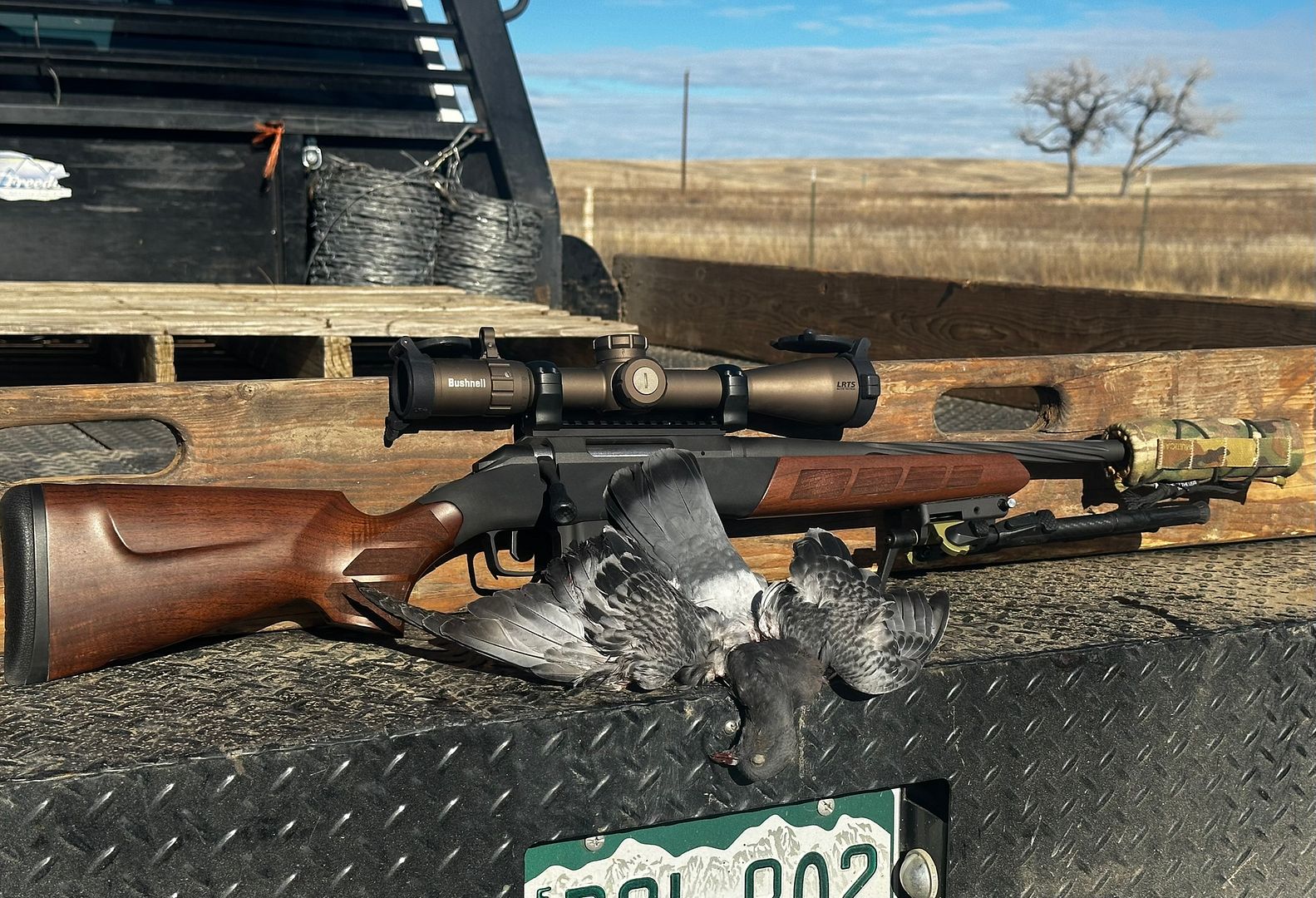 2025 dead critter thread..... - 24hourcampfire