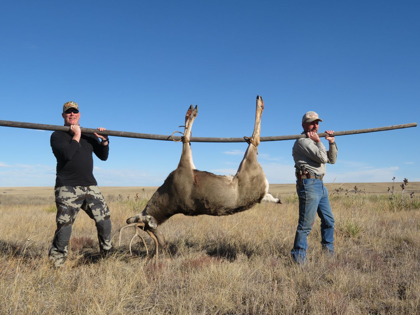 2025 Elk 'Hunt' - 24hourcampfire