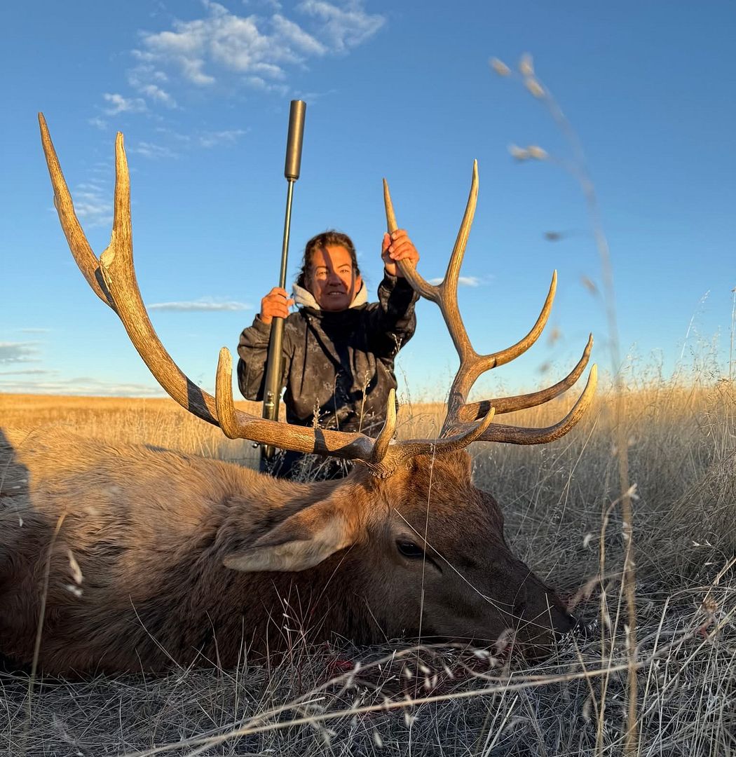 Prairie elk - 24hourcampfire