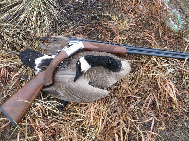 Ruger Announces the Return of an American Legend: The Ruger Red Label ...