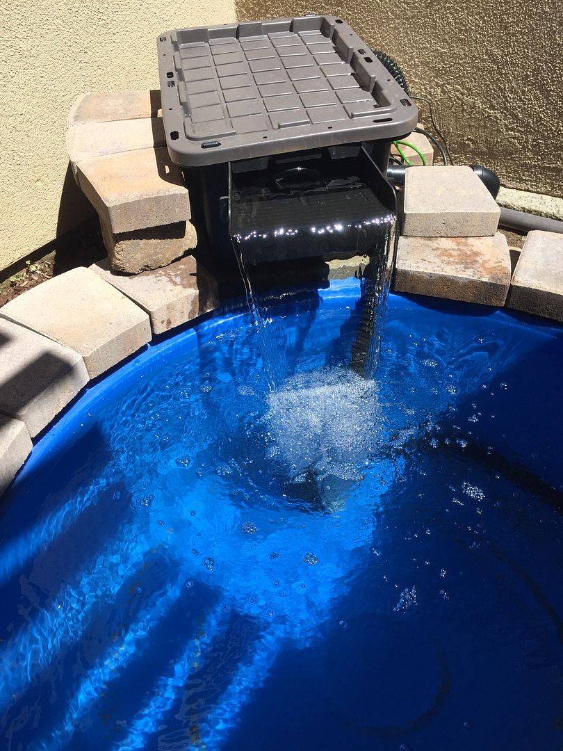 BioFilter - Upflow Downflow or Crossflow?