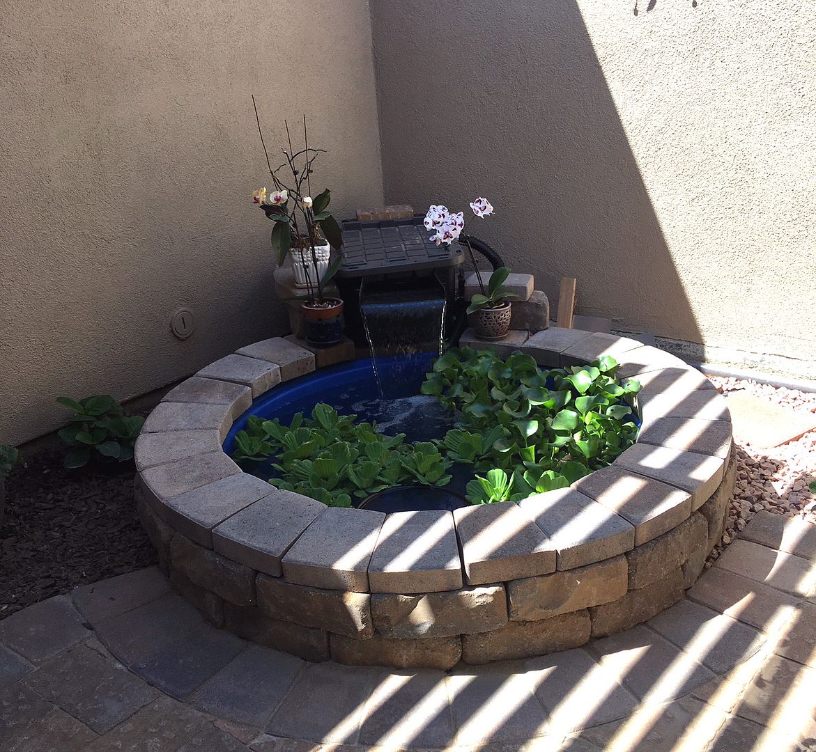 BioFilter - Upflow Downflow or Crossflow?