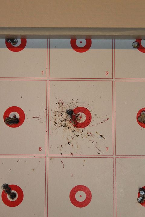 For the Love of Fly hits . . . | Rimfire Central Firearm Forum