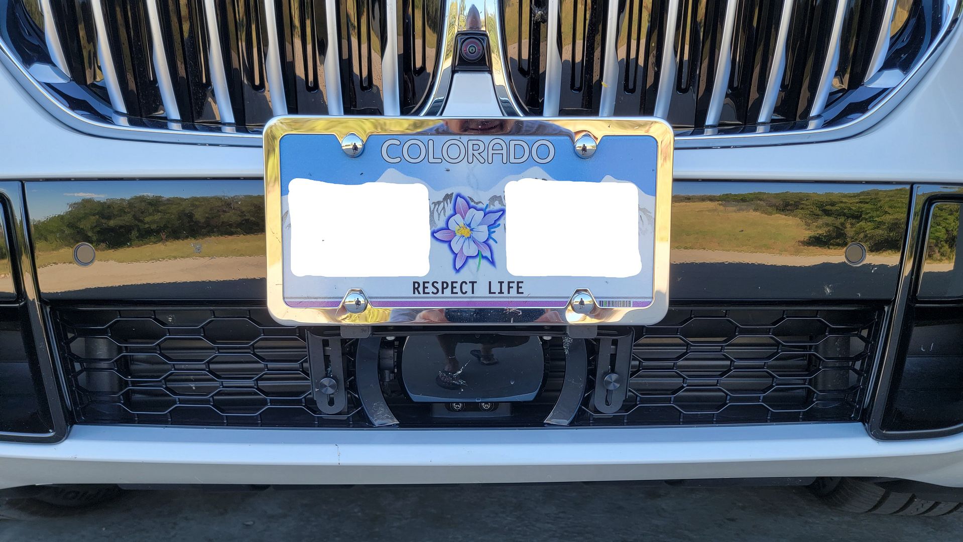 Carbonio plate mount