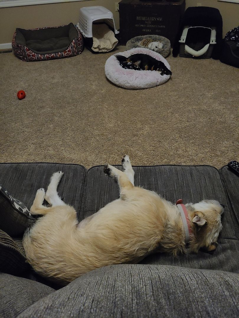 Official Freeze your Ass off thread.. - 24hourcampfire