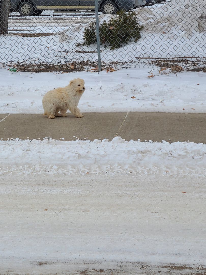 Things you see on the rez - 24hourcampfire