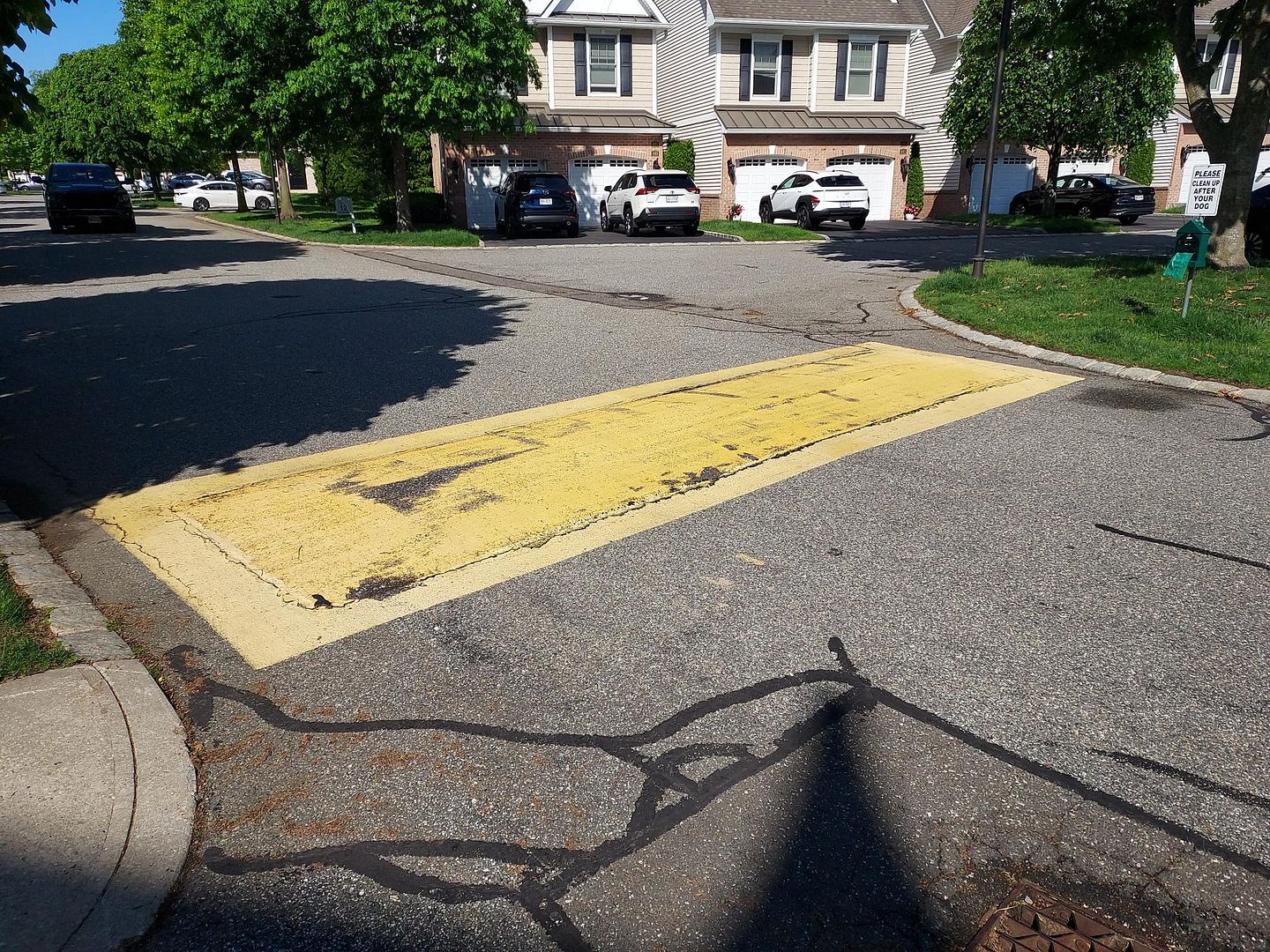Still more proof speed bumps are not the advertised panacea. - The Blog