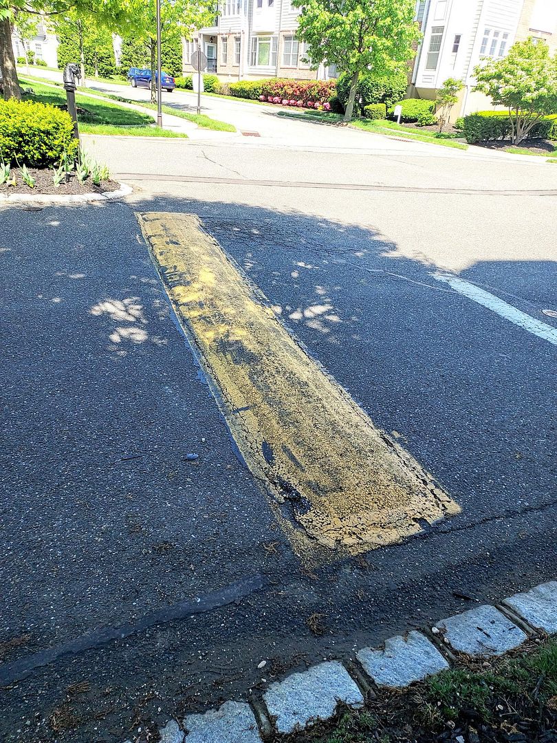 Still more proof speed bumps are not the advertised panacea. - The Blog