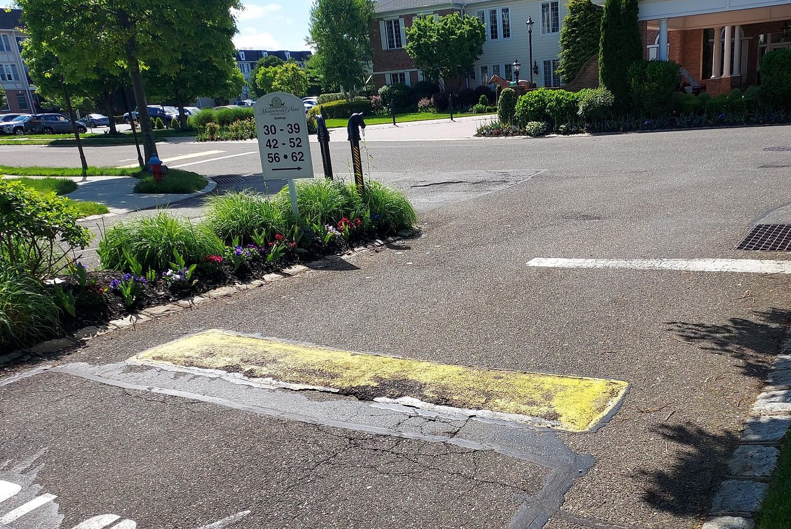 Still more proof speed bumps are not the advertised panacea. - The Blog