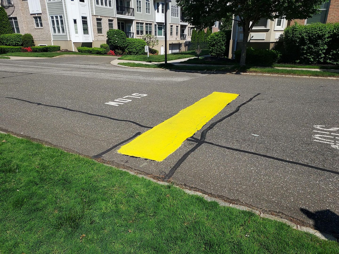 Still more proof speed bumps are not the advertised panacea. - The Blog