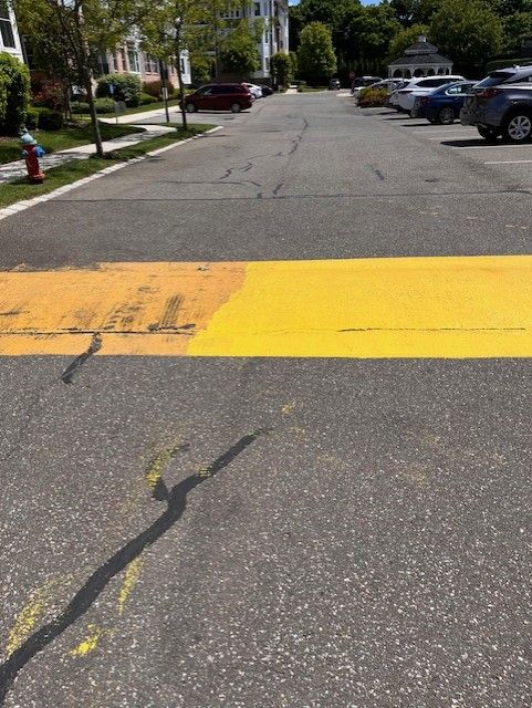 Still more proof speed bumps are not the advertised panacea ...