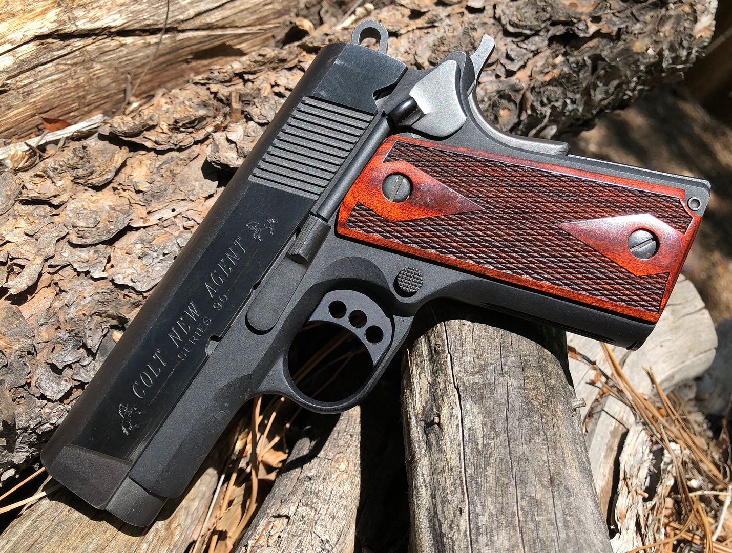 Colt Defender Frame Finish | 1911Forum