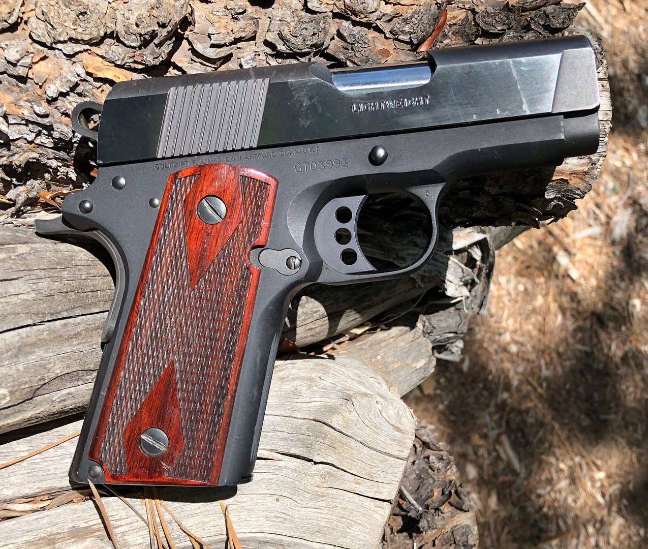 Colt Defender Frame Finish | 1911Forum