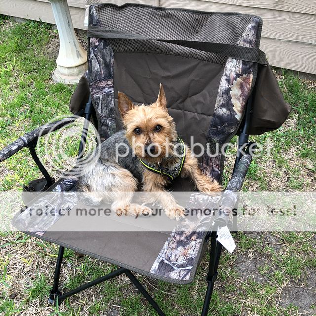 Dog Thread | Ruger Forum