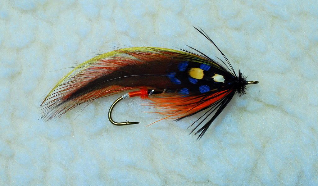 Golden pheasant | Fly Fishing Forum