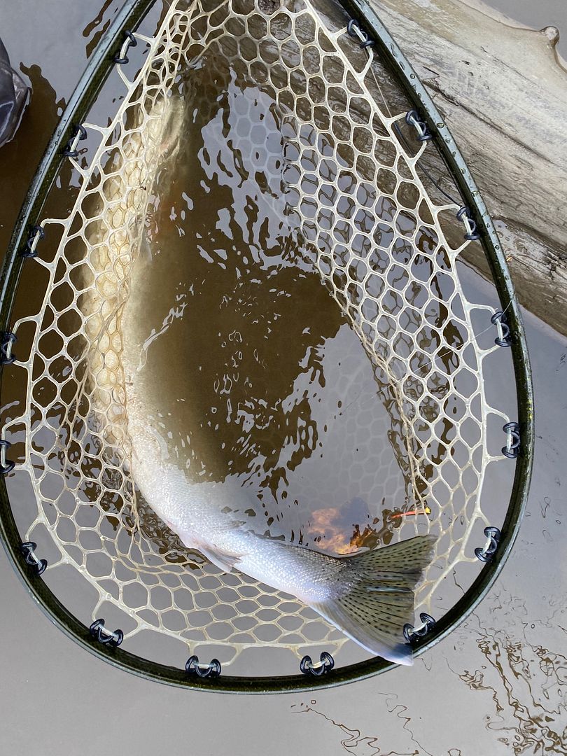 Fishpond Nomad Nets | Spey Pages