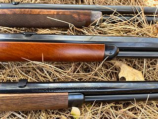 Lyman #2 Tang Peep ? | Shooters Forum
