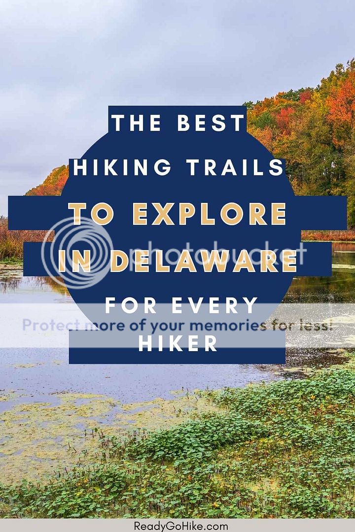 Gorgeous Hiking Trails in Delaware With Unbeatable Views - Ready Go Hike